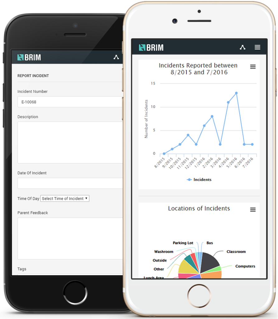 Student Behavior Management & Discipline Systems - BRIM Anti-Bullying ...