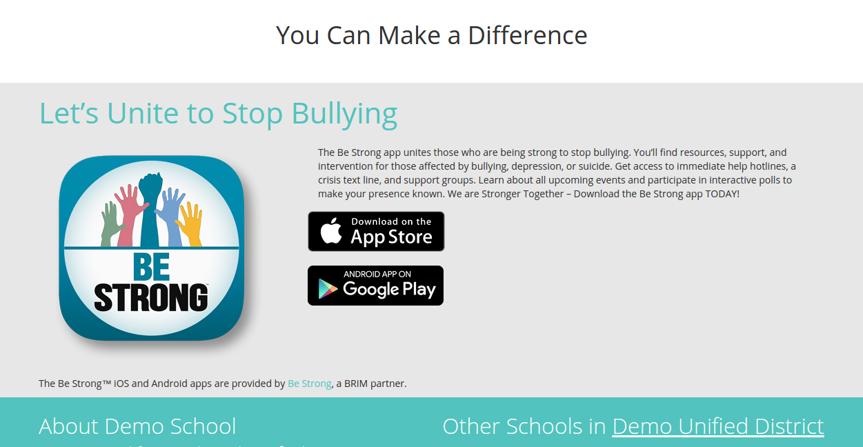 Be Strong's Mission to End Bullying Starts with Awareness - BRIM Anti-Bullying Software